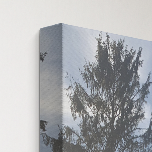 Photo Gallery Pano Portrait Print by Shutterfly | Shutterfly