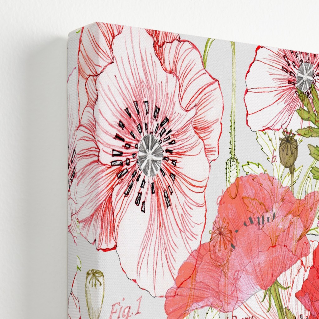 Poppy Romance - Red Canvas Print | Shutterfly