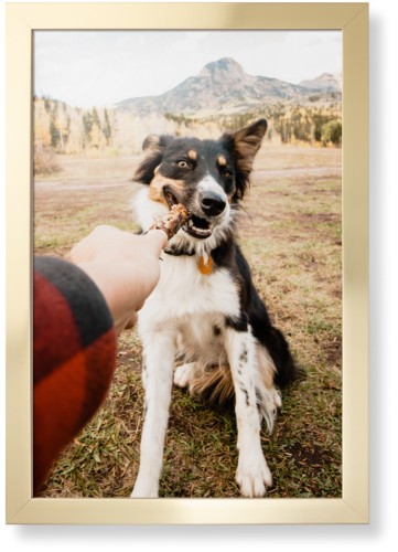 Green Photo Frames | Shutterfly