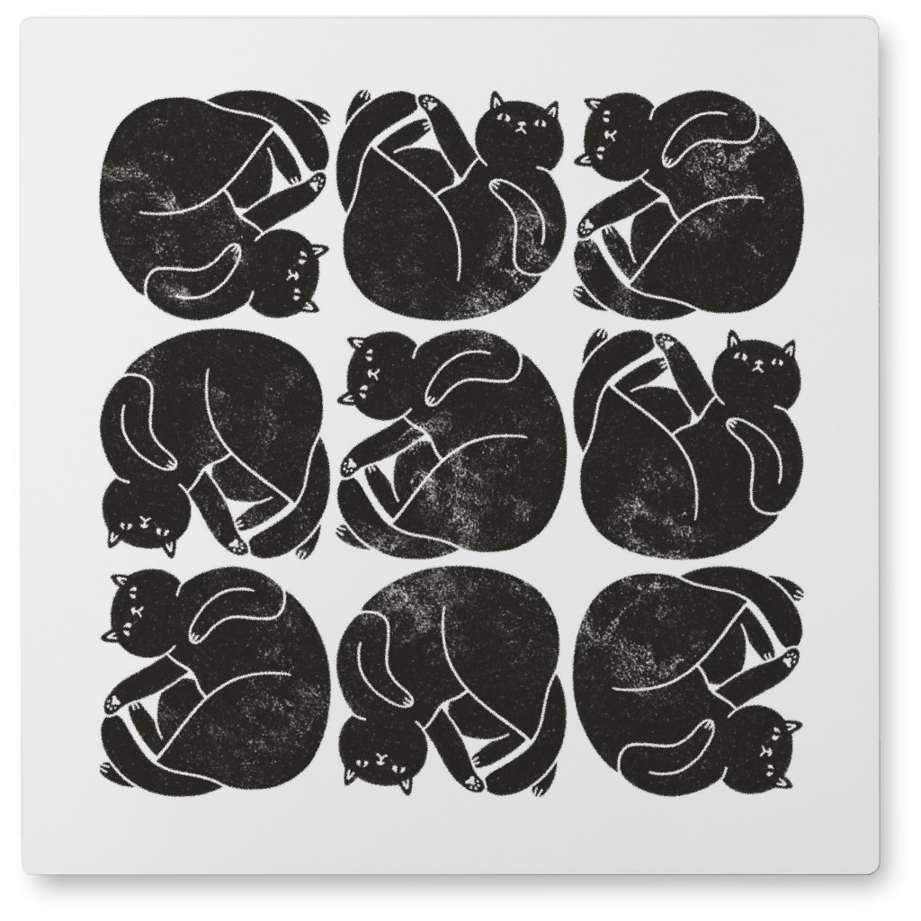 Lazy Black Cats - Black and White Photo Tile | Shutterfly