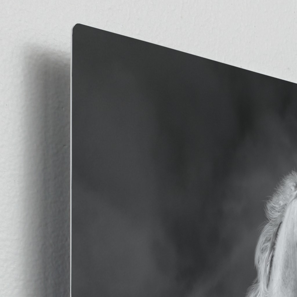 Running Horses - Black and White Photo Tile | Shutterfly