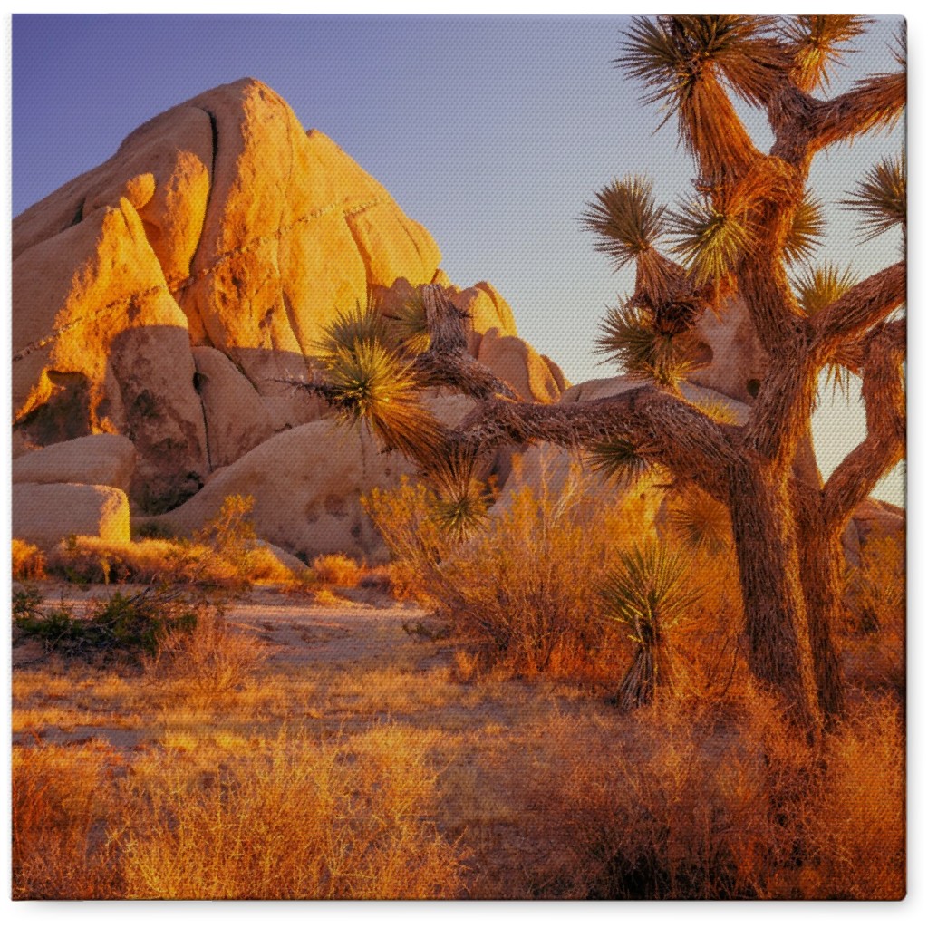 Rocks in Joshua Tree Photo Tile | Shutterfly