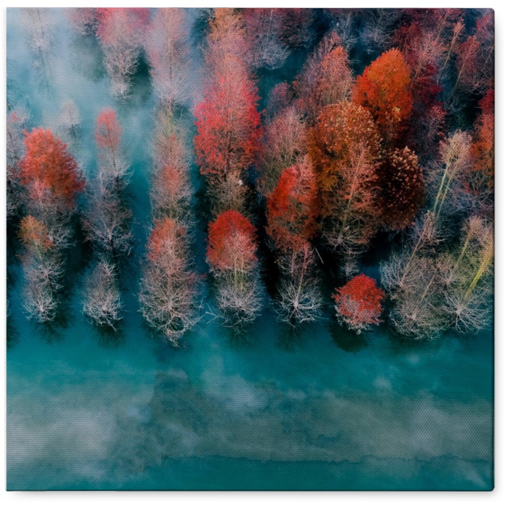 Autumn Tree Line Photo Tile | Shutterfly