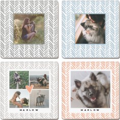 Photo Coasters | Custom Coaster Sets | Shutterfly
