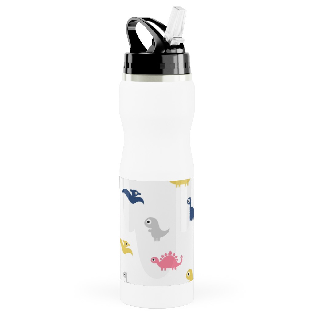 Dino Print - Multi Stainless Steel Water Bottle with Straw | Shutterfly