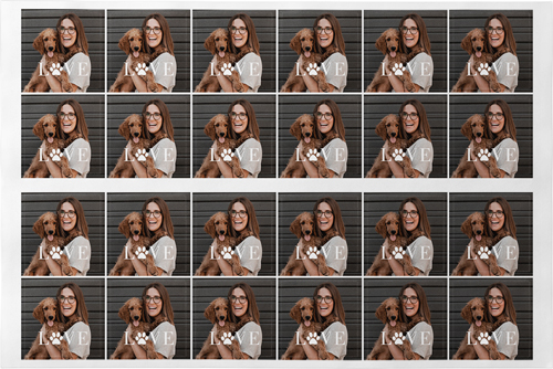 Fur Baby Love Removable Stickers by Shutterfly | Shutterfly