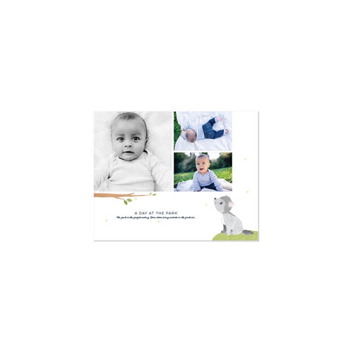 Woodland Baby Photo Book | Shutterfly