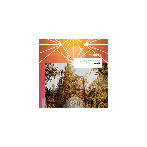 Modern Geo Wall Calendar | Shutterfly